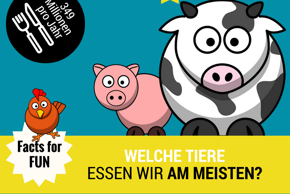 Facts for FUN: Welche Tiere essen wir am meisten? | HOGAPAGE Nachrichten