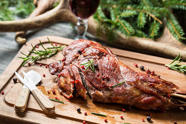 Wissenwertes über den Hirsch | Nachrichten - HOGAPAGE